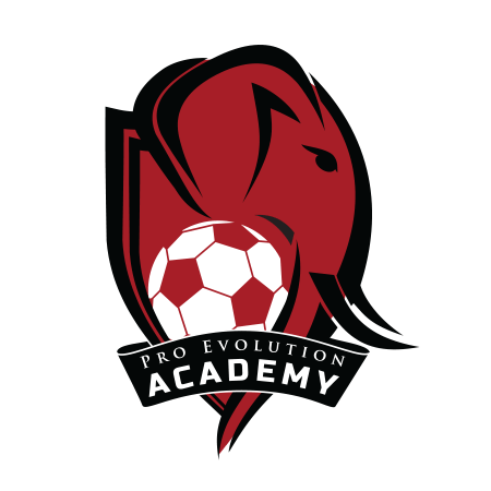 FAQ | ProEvolution Academy